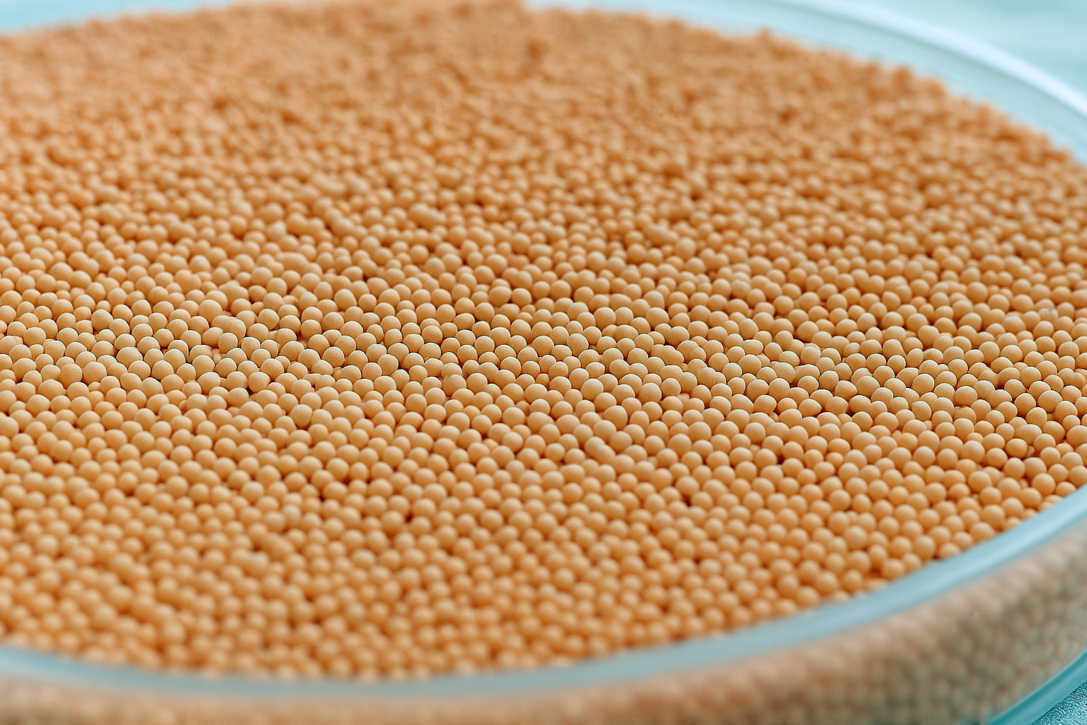 Multi-Unit Particulate System (MUPS) - Stellar Formulations